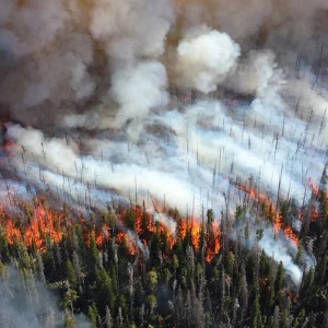 Kevin Zhang Portfolio